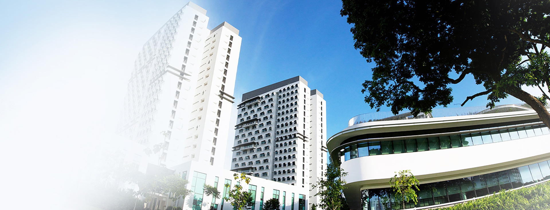 Overview – University Scholars Programme