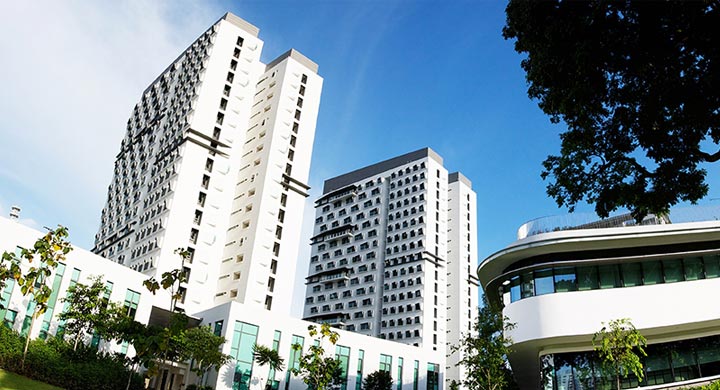 USP Housing and Support – University Scholars Programme